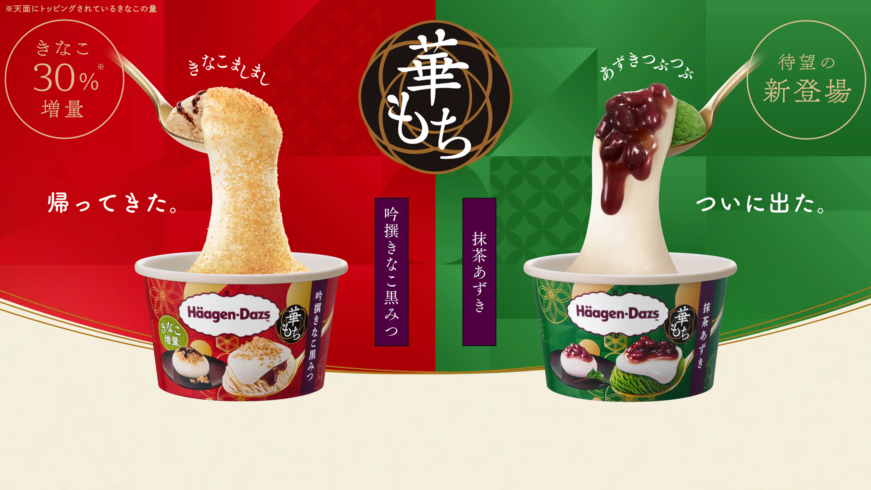 landing page for Hana-Mochi by Häagen-Dazs｜bird and insect